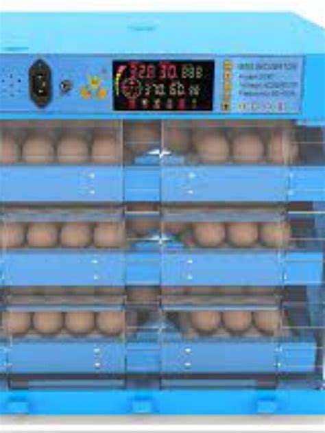 Chicken Egg Incubator