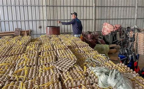 ស៊ុតមាន់ជាង ៨ ០០០គីឡូក្រាម ត្រូវបានកម្ទេចចោលក្រោយរកឃើញខូចគុណភាព Cnc News