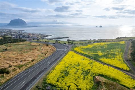 제주도 구석구석 어디까지 가봤니 부모님과 가기 좋은 제주도 여행코스 방구석걸리버