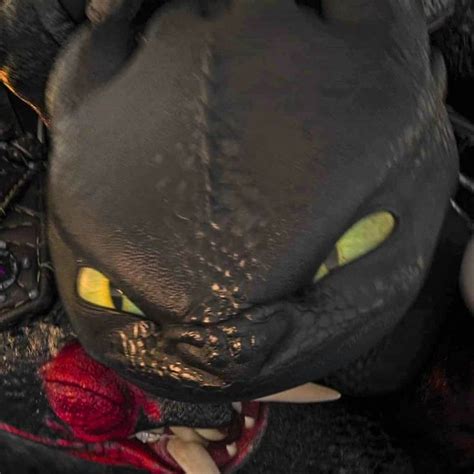 Pin By Bubba On Sweet Neptune How To Train Dragon How To Train Your Dragon Httyd