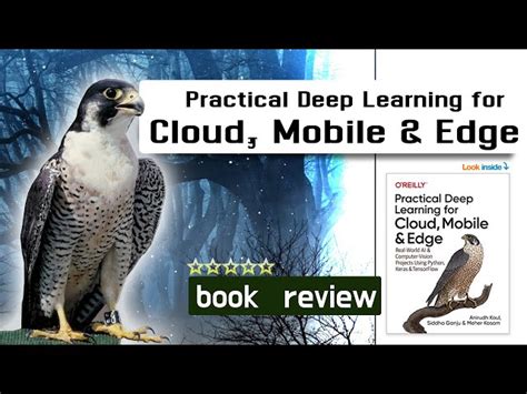 Practical Deep Learning For Cloud Mobile And Edge Reasontown