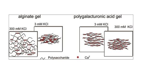 Polysaccharide