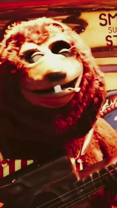 Destroyed Animatronicsat Billy Bobs Wonderland Youtube