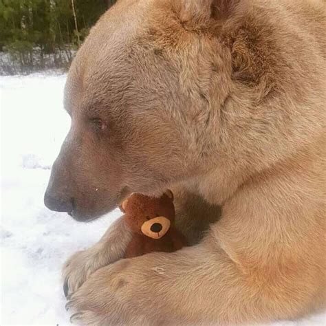 Хайр Харуусал••