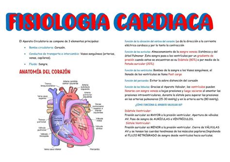 Fisiologia Cardiaca Victoria Zuleta Udocz