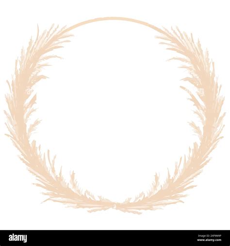 Pampas Grass Circle Wedding Vector Illustration Stock Vector Image