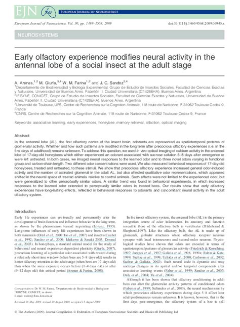 Pdf Early Olfactory Experience Modifies Neural Activity In The Antennal Lobe Of A Social