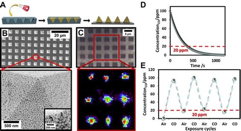 6 A Schematic Depiction Of The Sample Preparation Method Download Scientific Diagram