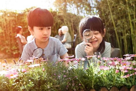 春天可爱北京摄影图片 春天可爱北京摄影作品 千库网