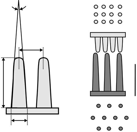 The Model System Used In The Force Measurements A Variables Of Both Download Scientific