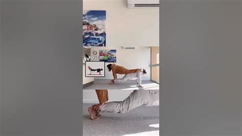 Yoga😂 Subscribe Loyalcouple Nach Nanduchintu Nandu Chintu Husbandwifefun Marrigegoals