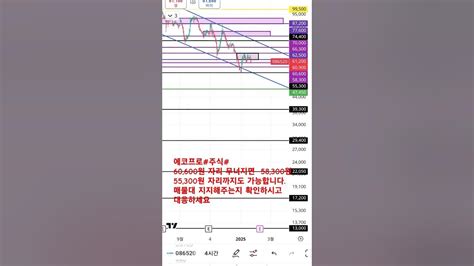 에코프로주식 매 수 금 지 운영시 단타외 출입금지 손절은 타이트하게 잡으세요 Youtube