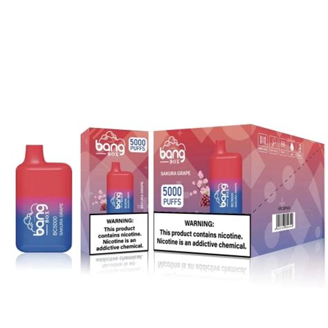 인기있는 Vapes Bang Box Bc 5000puffs 좋은 가격 의 고품질 인기있는 Vapes
