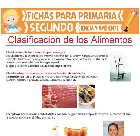 Clasificación De Los Alimentos Para Segundo De Primaria