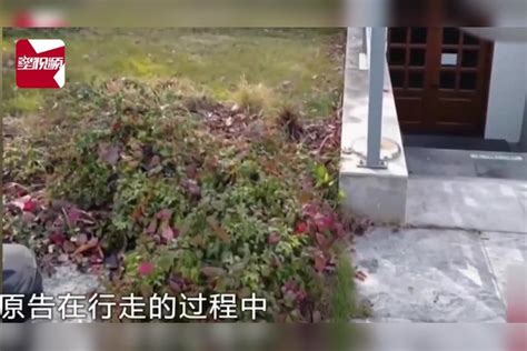 女子住酒店时不慎踩空，跌落地下楼梯致颈椎以下瘫痪，获赔119万