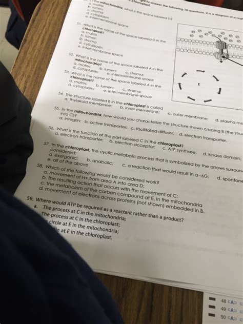 What Is The Name Of The Space Labeled D In The