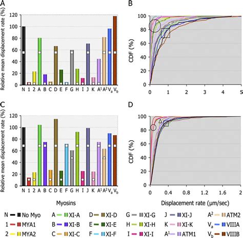 Displacement Rates Of Golgi Bodies In The Presence Of 17 Arabidopsis Download Scientific
