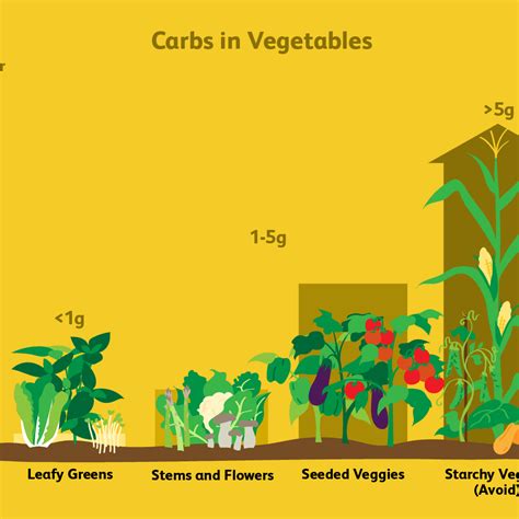 Carbohydrates In Vegetables Madinotes
