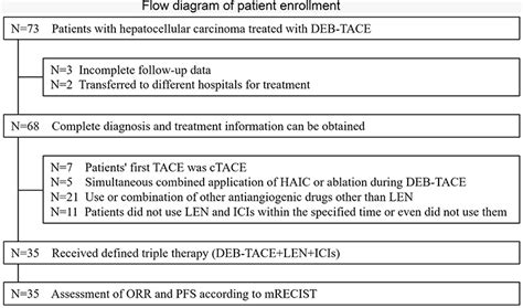 Safety Of Drug Eluting Bead Transarterial Chemoembolization Jhc