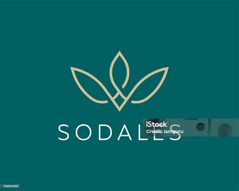 우아한 꽃 선형 로고입니다 프리미엄 미용실 호텔 로고 타입 스파 부티크 보석 가게 상징입니다 벡터 일러스트 레이 션 로고에 대한 스톡 벡터 아트 및 기타 이미지 Istock