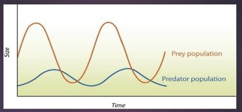 Ensc Lab Final Exam Flashcards Quizlet