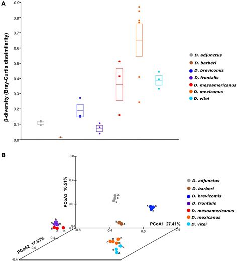 Frontiers Metabarcoding Of Mycetangia From The Dendroctonus Frontalis Species Complex