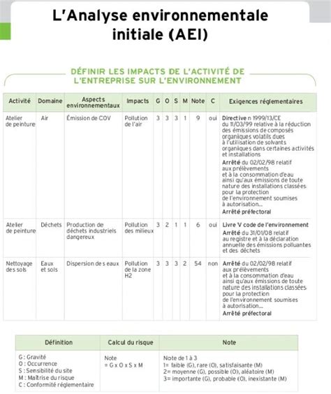 L Analyse Environnementale Initiale Aei Nzesseu Athéna