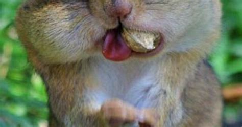 mfw i m out to eat and the server comes back to ask me how the food is imgur