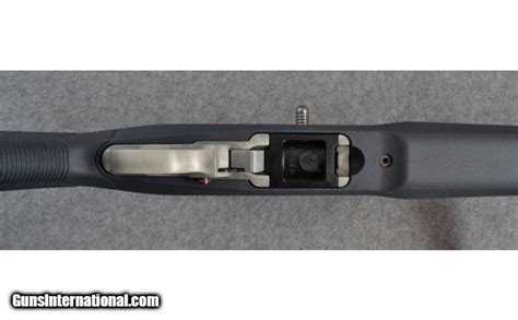 Ruger Custom Built 10 22 22lr Rifle