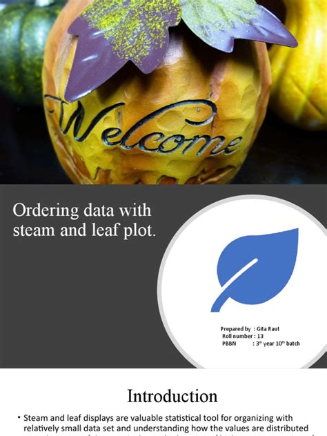 5 Tips Create Perfect Stem Leaf Plot Now Excel Web