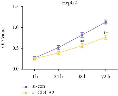 Estimation Of Hepatocellular Carcinoma Cells Growth Ability With Cell