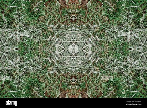 Flower And Tree Abstract Backgrounds Stock Photo Alamy