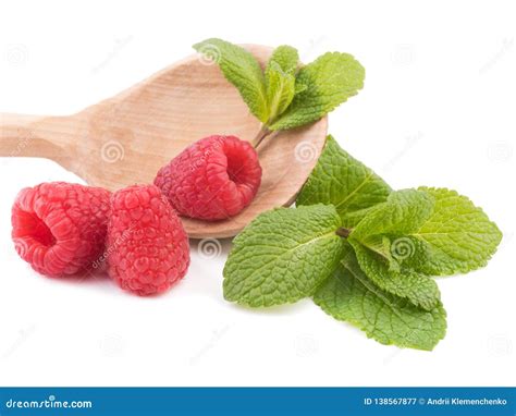 Raspberry With Leaves Isolated On White Background Stock Image Image Of Branch Element 138567877