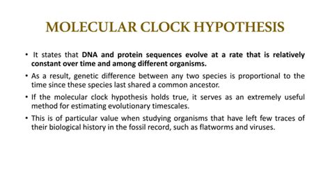 Molecular Phylogeny Molecular Clock Hypothesis Molecular Evolution Kimuras Theory Pptx