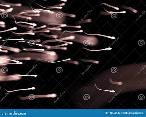 Human Sperm Stock Illustration Illustration Of Concept 145656543