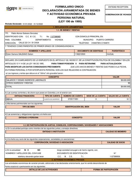 Declaracion De Bienes Y Renta Pdf