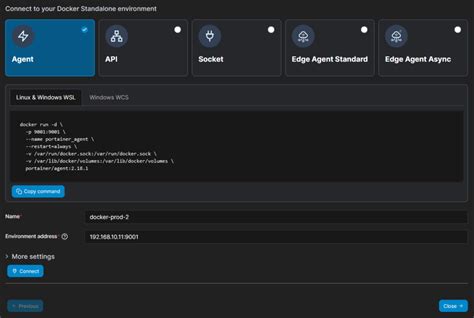 Installer Portainer Agent Sur Une Instance Existante