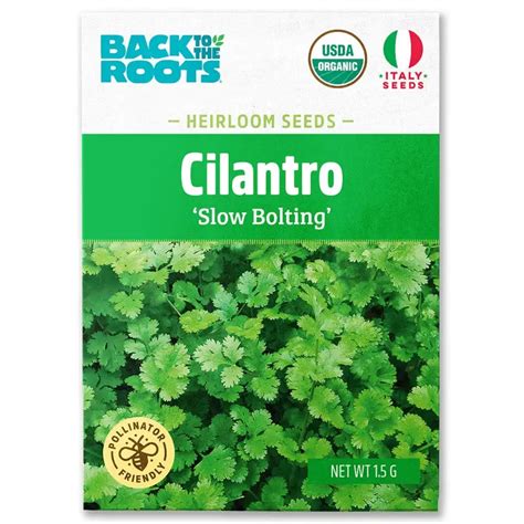 Organic Cilantro Seeds — Slow Bolting Rareplantnursery