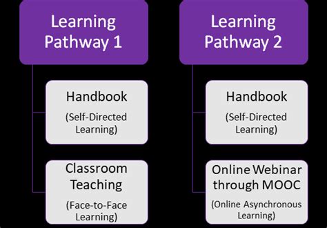 The Two Learning Pathways Of The Certificate Course Download