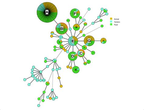 minimum spanning tree on the basis of 6 loci mlva profiles of 401 s