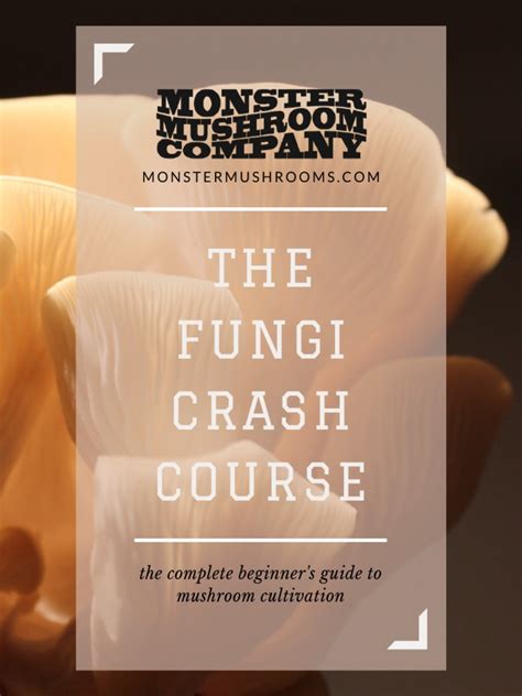 Monster Mushrooms Pdf