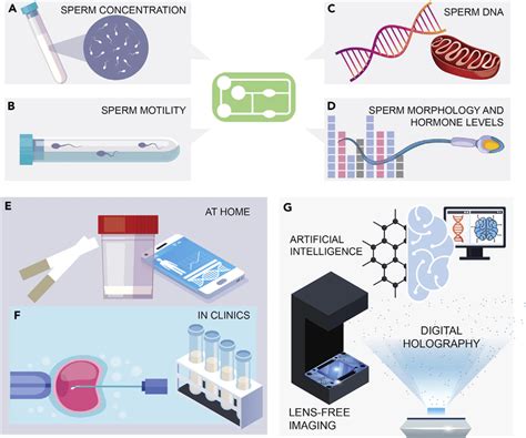 an overview of disposable microfluidics for fertility testing