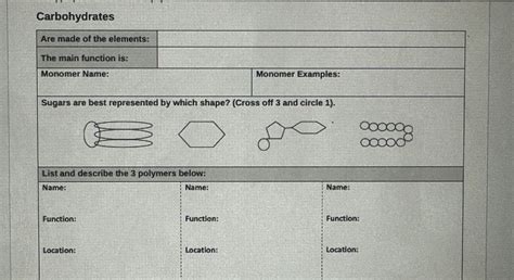Carbohydrates Are Made Of The Elements The Main Function Is Monomer Name Monomer Examples Sugars
