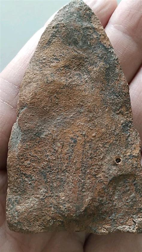 พระพุทธชินราชเนื้อดินเผา ลักษณะพิมพ์ เนื้อ รูปลักษณ์องค์พระ กรุวัดเขาสมอแคลง จ พิษณุโลก มุมภาพ