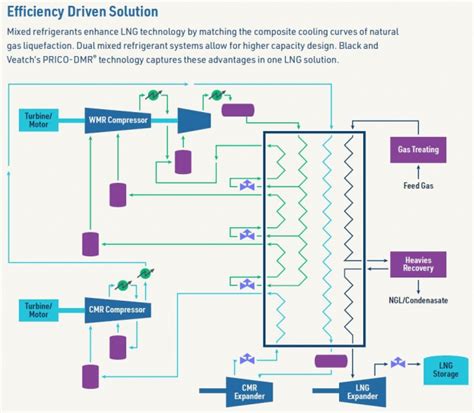 Technology Liquefaction Tech A Key Decision [lng Condensed]