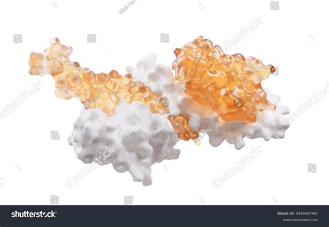 Protein Structure Biological Concept 3d Rendering Stock Illustration 2436907997 Shutterstock