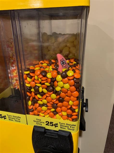 The Great Spongebob Prank Part 2 We The Inspired Teen