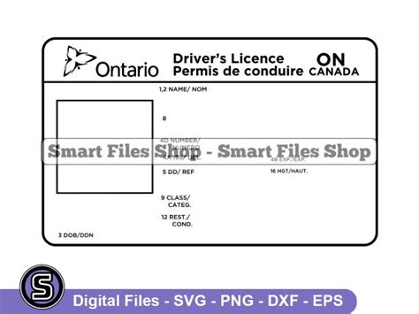 Canada Drivers Licence Empty Template Svg Drivers Licence Etsy