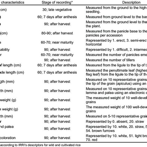 Morphological Characteristics To Determine The Variation Of Weedy Rice