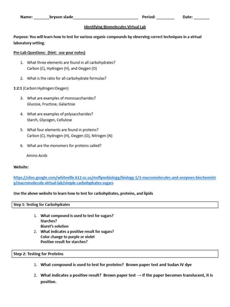Identifying Biomolecules Virtual Lab Revised 24 25 Pdf Carbohydrates Glucose